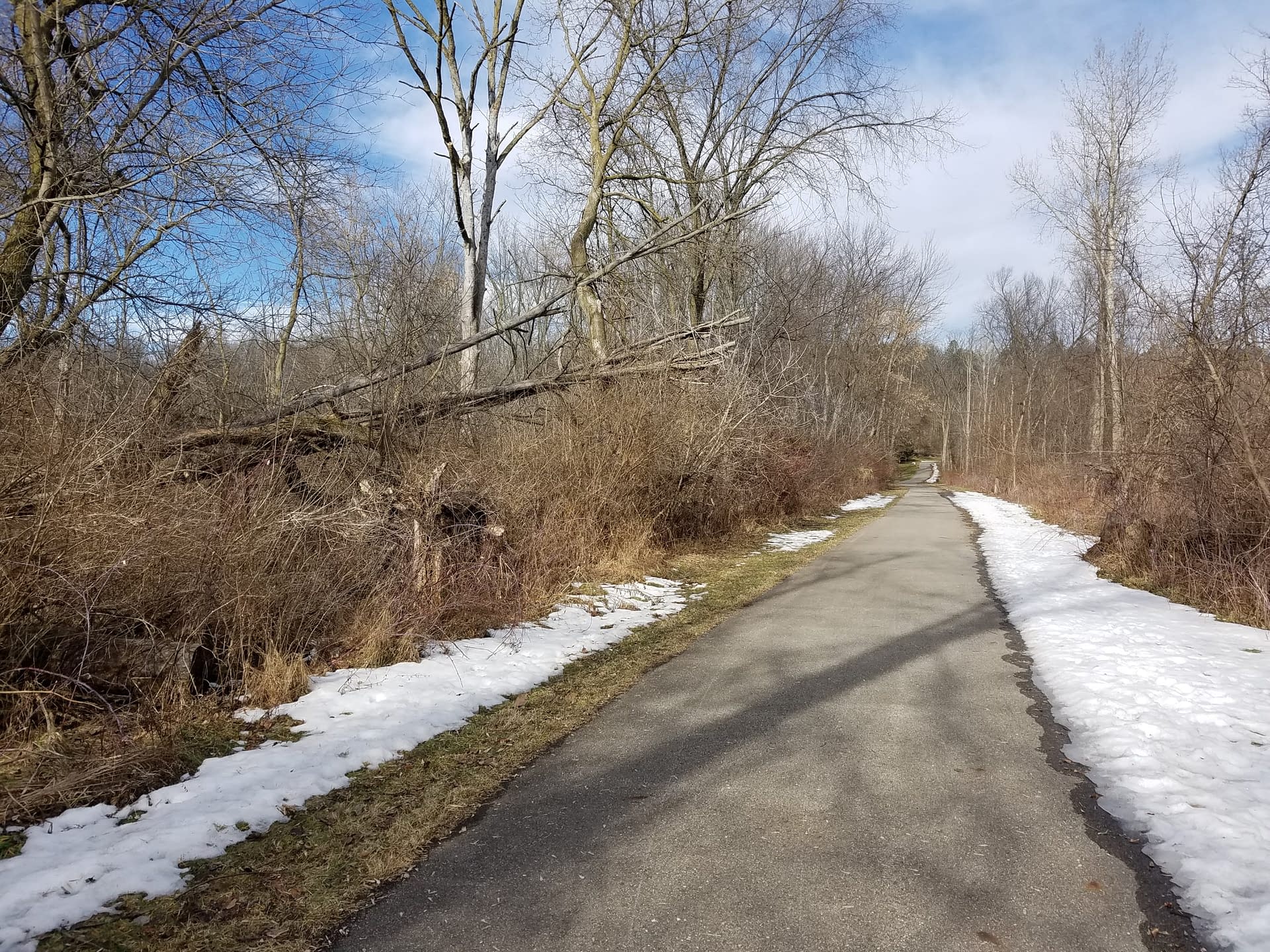 Scenes from Lowell: Trails of Lowell Edition - Lowell's First Look