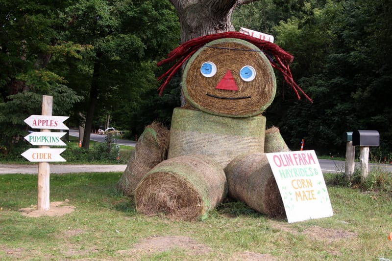 Fall Activities Debut at Olin Farm - Lowell's First Look