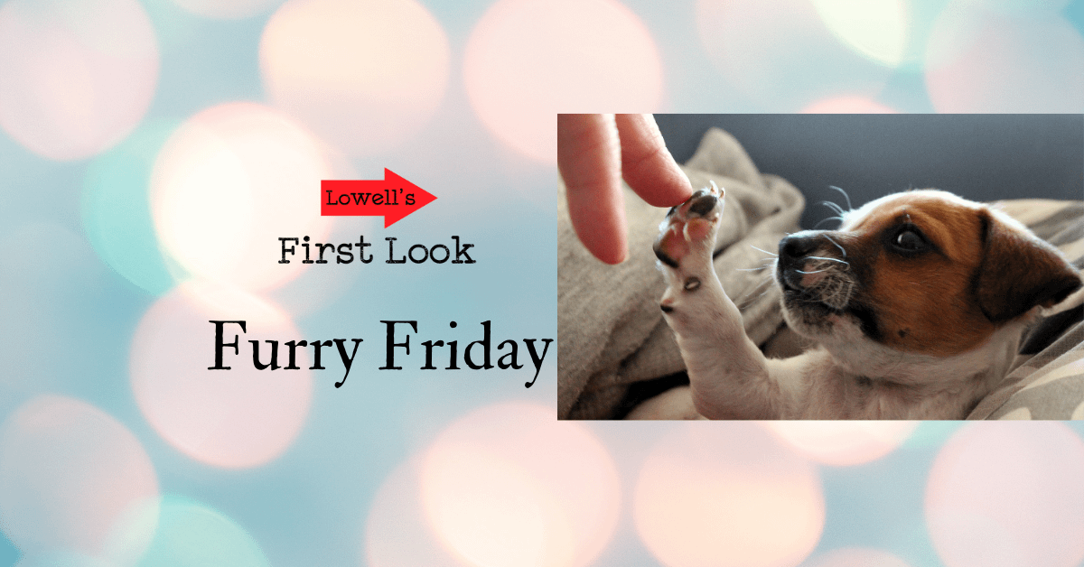Furry Friday: Sir Hector and Polly Gray - Lowell's First Look