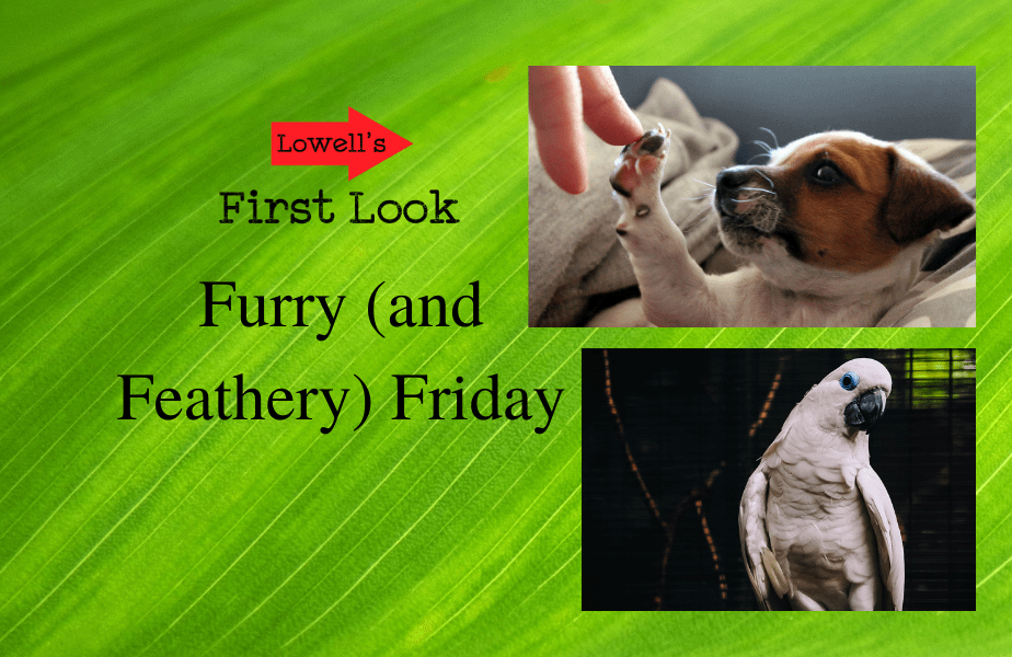 Furry Friday - Lowell's First Look