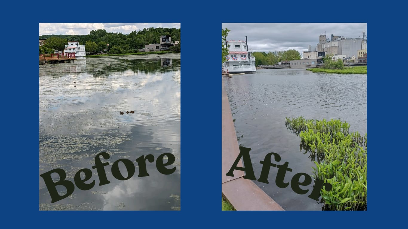 Flat River Cleanup Deemed a Success - Lowell's First Look