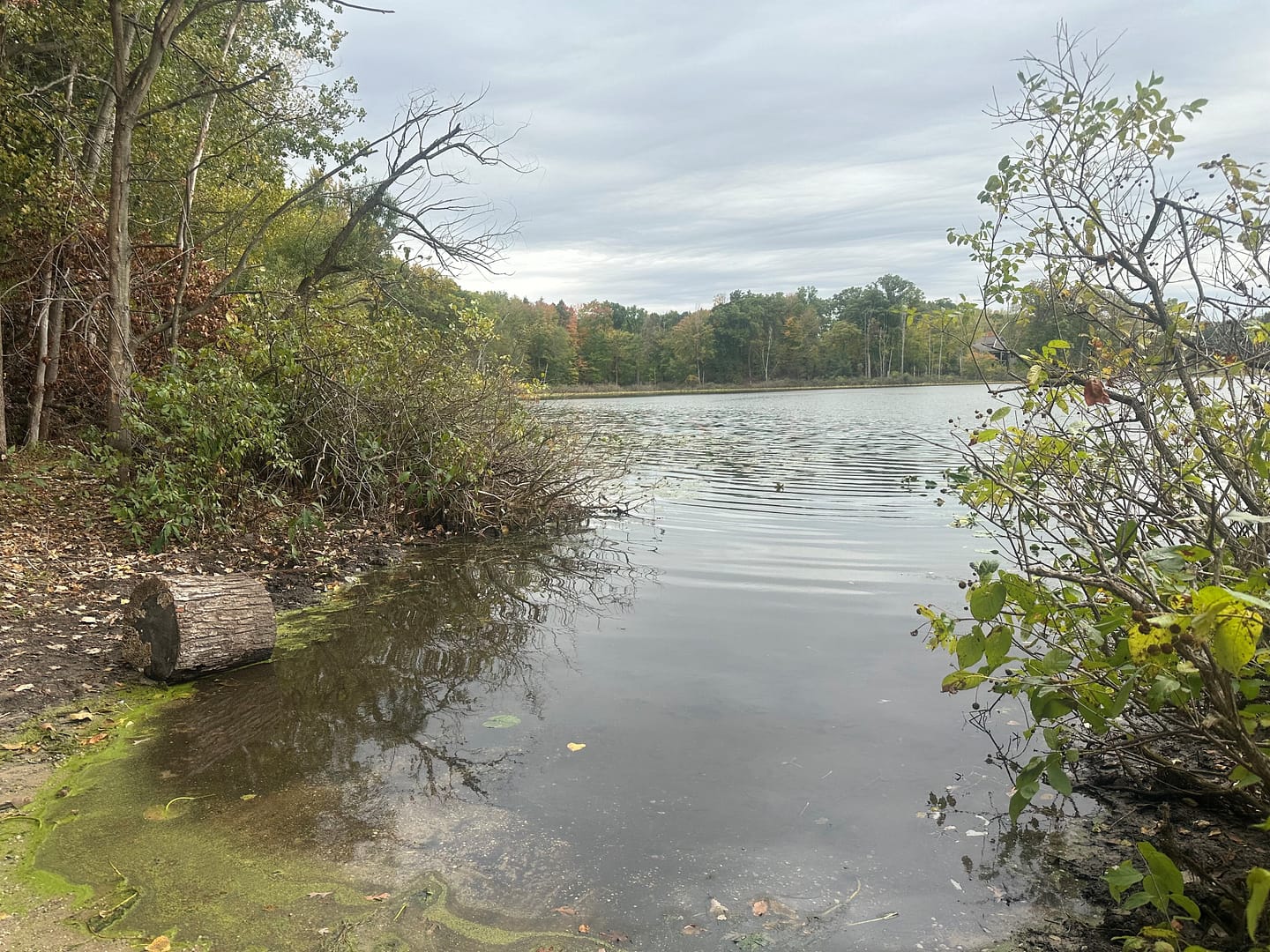 The ABCs of Lowell History: M is for McEwan Lake - Lowell's First Look