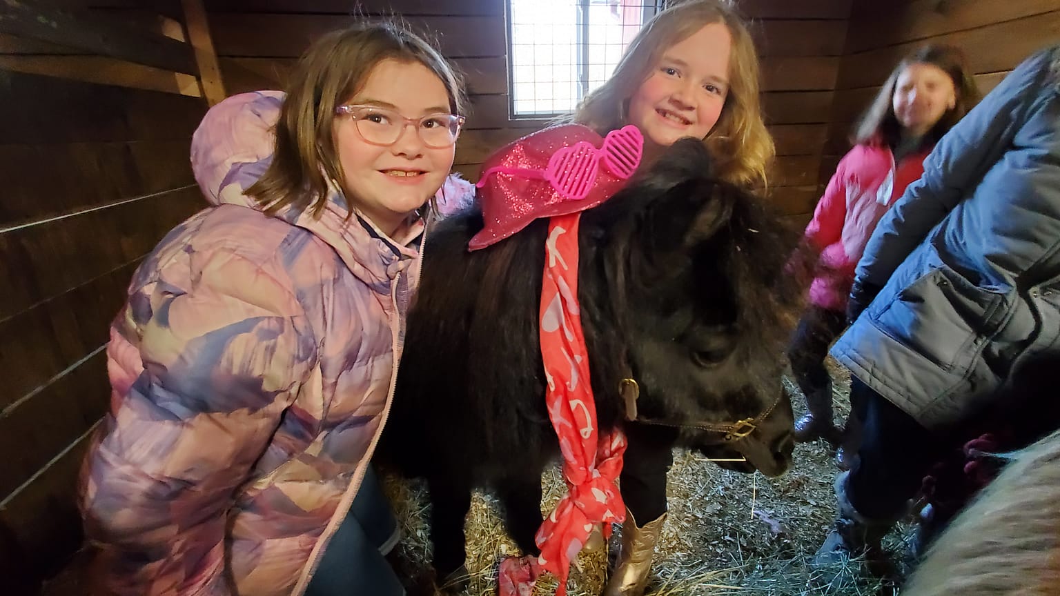 The Barn for Equine Learning: Taking a Different Approach to Therapy ...
