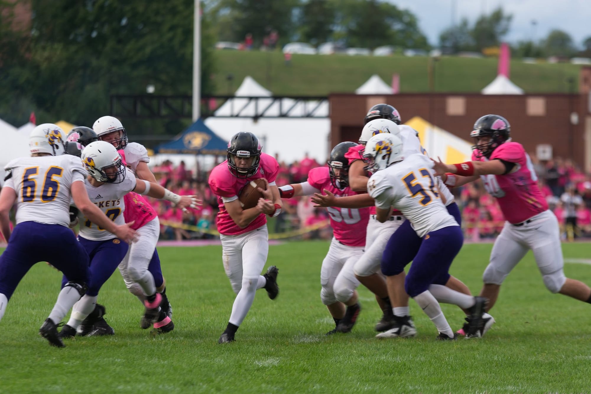 Scenes from Lowell: Pink Arrow Pride 2019 Edition - Lowell's First Look