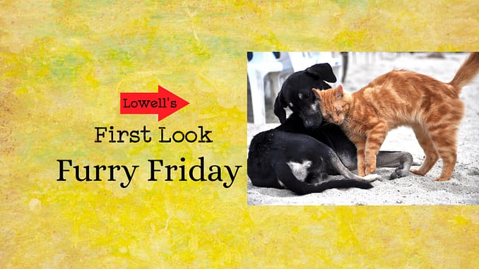 Furry Friday: Thor, Annie and Cissy - Lowell's First Look