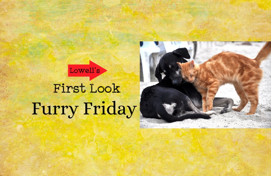 Furry Friday: Stone, Cornelius and Paris - Lowell's First Look