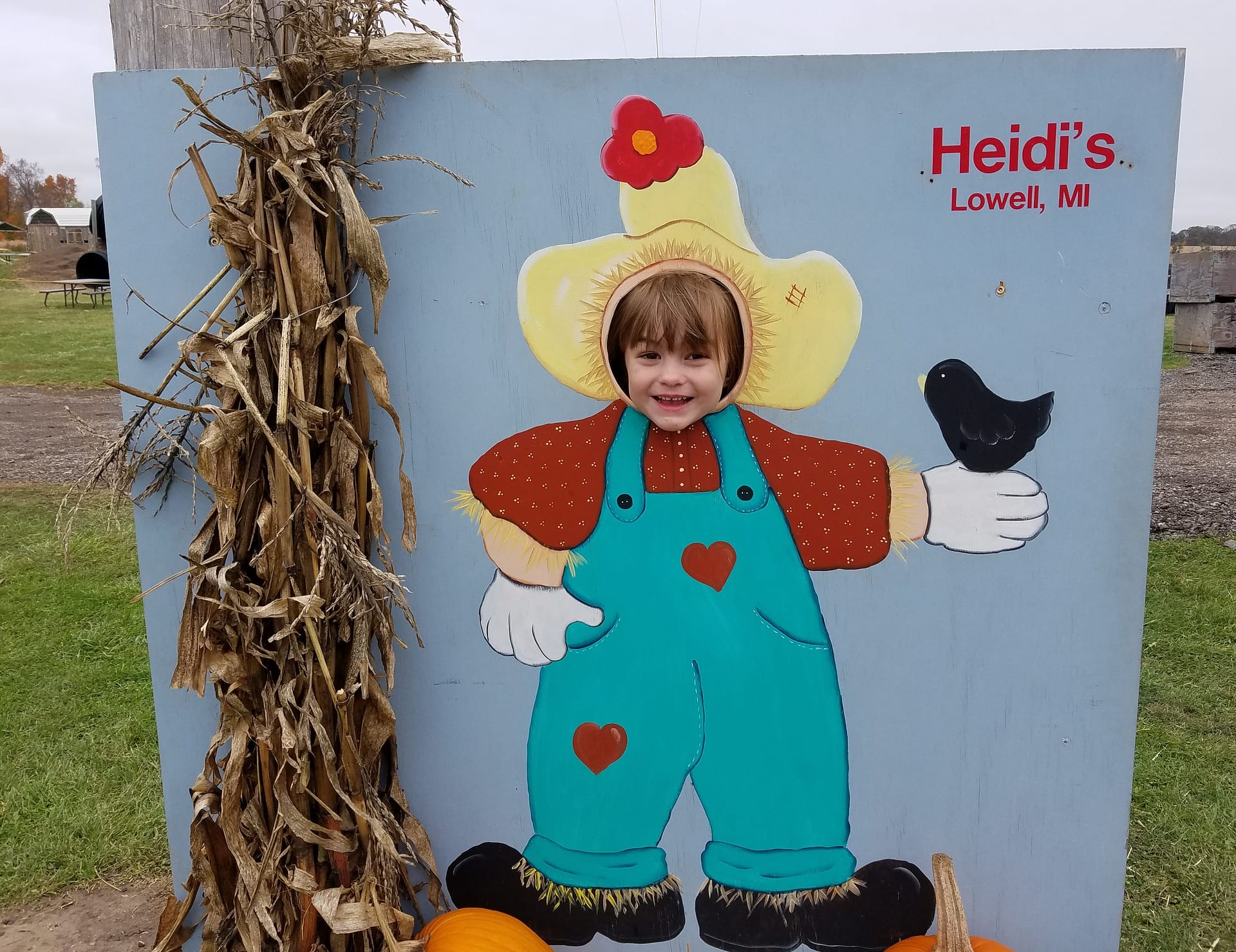 Lowell Area Farms Offer Fun Fall Experiences in 2025 - Lowell's First Look
