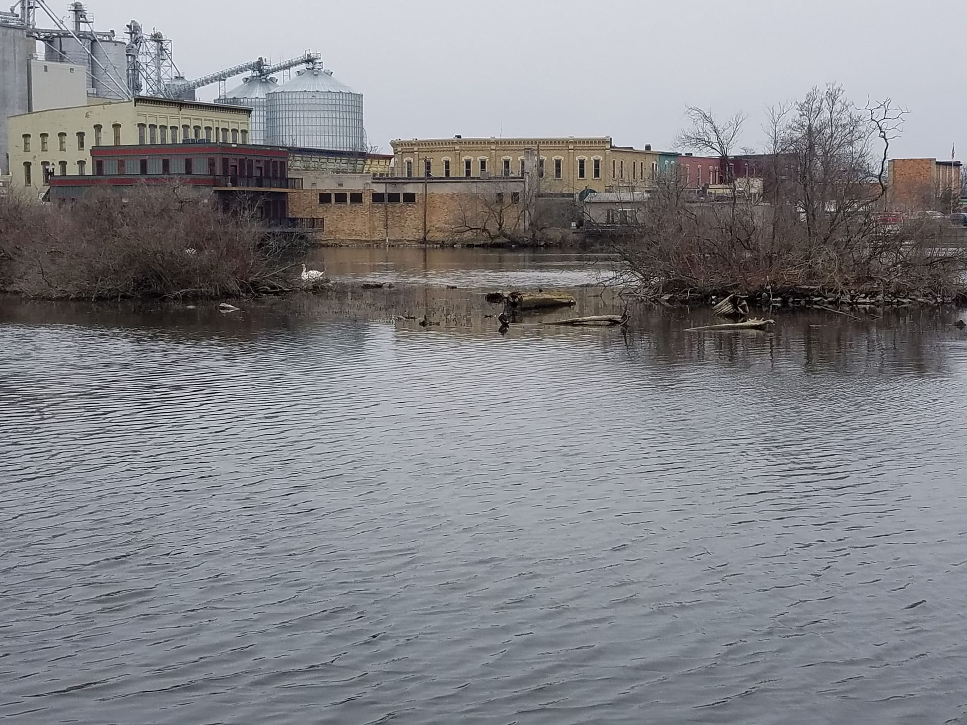 Surprising Sight in Flat River Causes Concern - Lowell's First Look