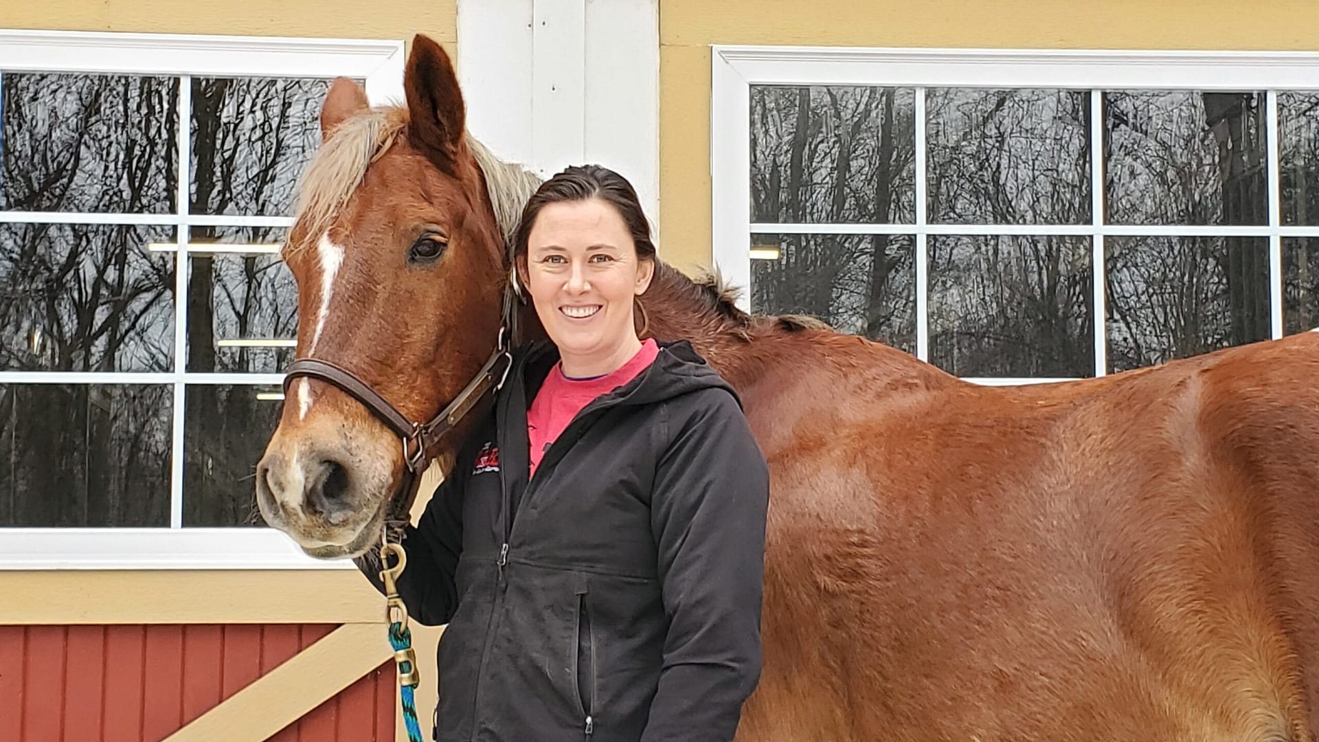 The Barn for Equine Learning: Taking a Different Approach to Therapy ...
