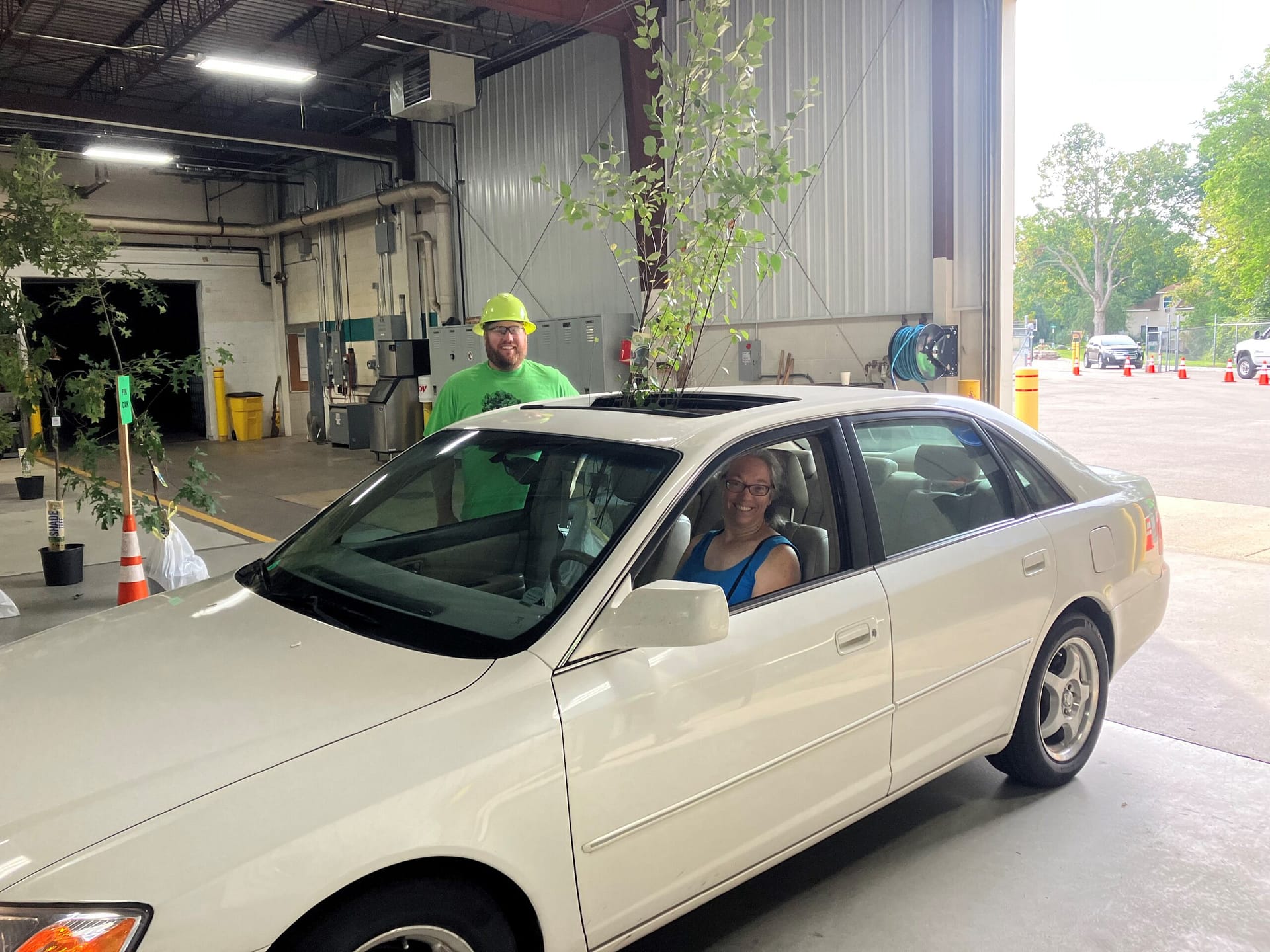 Lowell Light & Power Offering Free Trees to Customers - Lowell's First Look