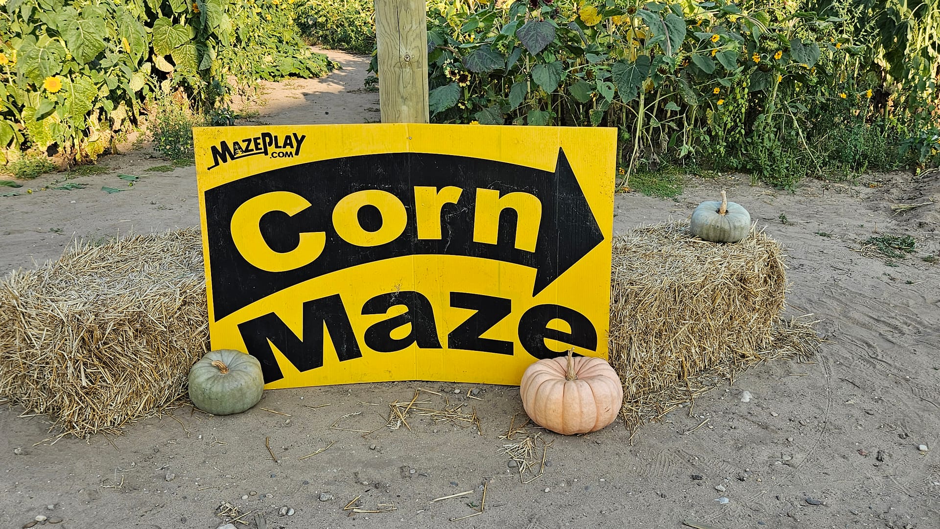 Lowell Area Farms Offer Fun Fall Experiences in 2024 - Lowell's First Look
