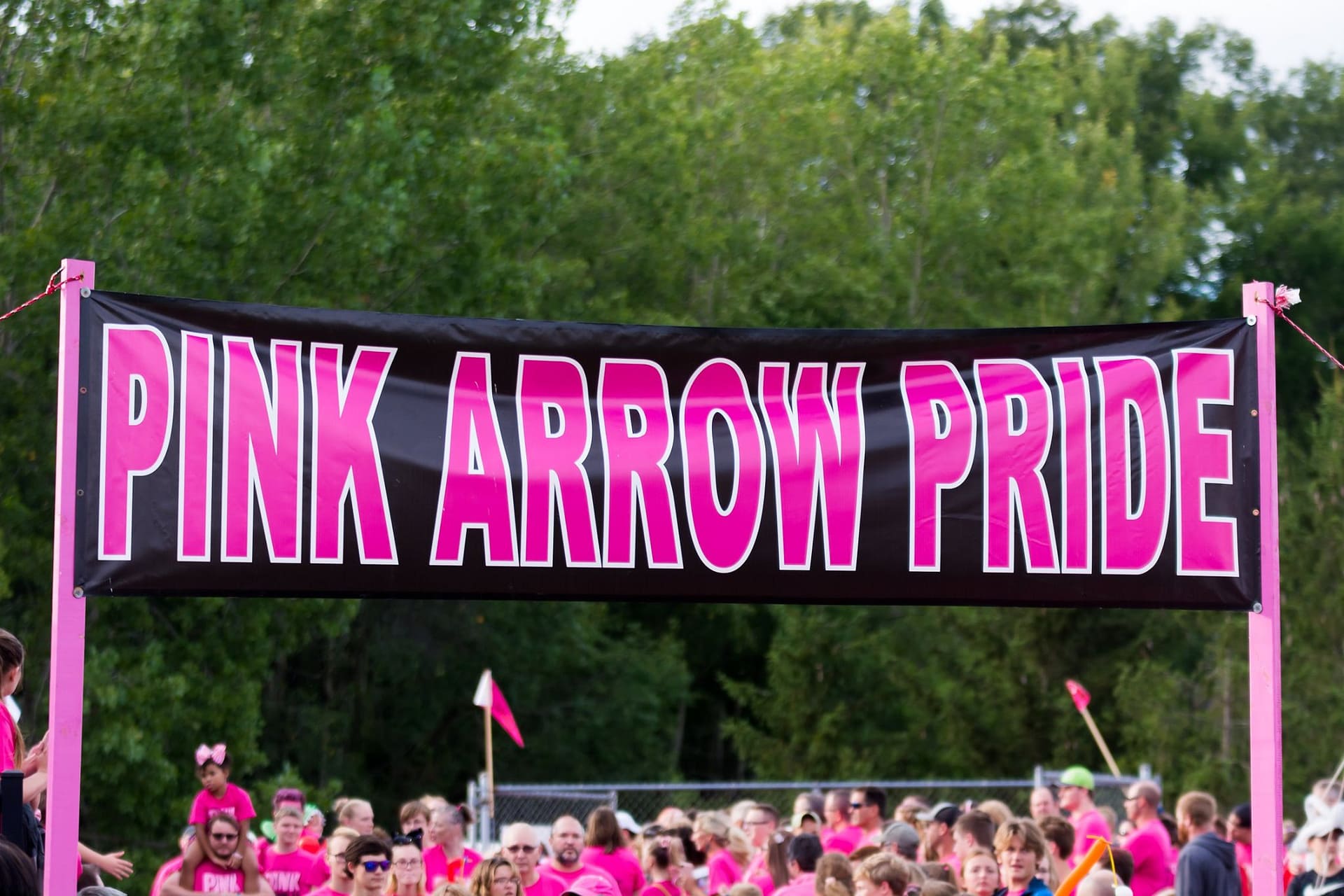 Scenes from Lowell: Pink Arrow Pride 2019 Edition - Lowell's First Look