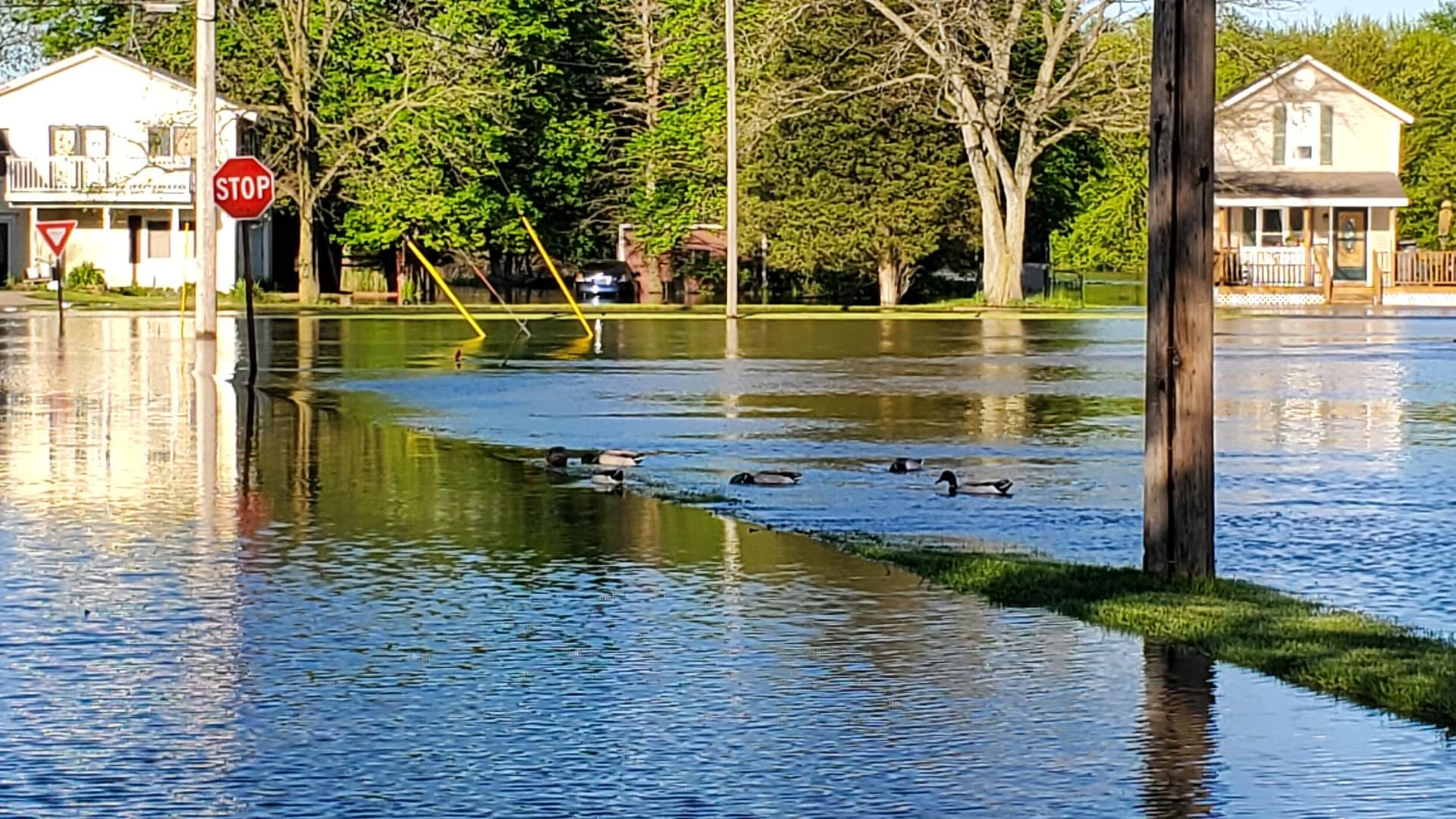 Scenes from Lowell: Flood of 2020 Edition - Lowell's First Look