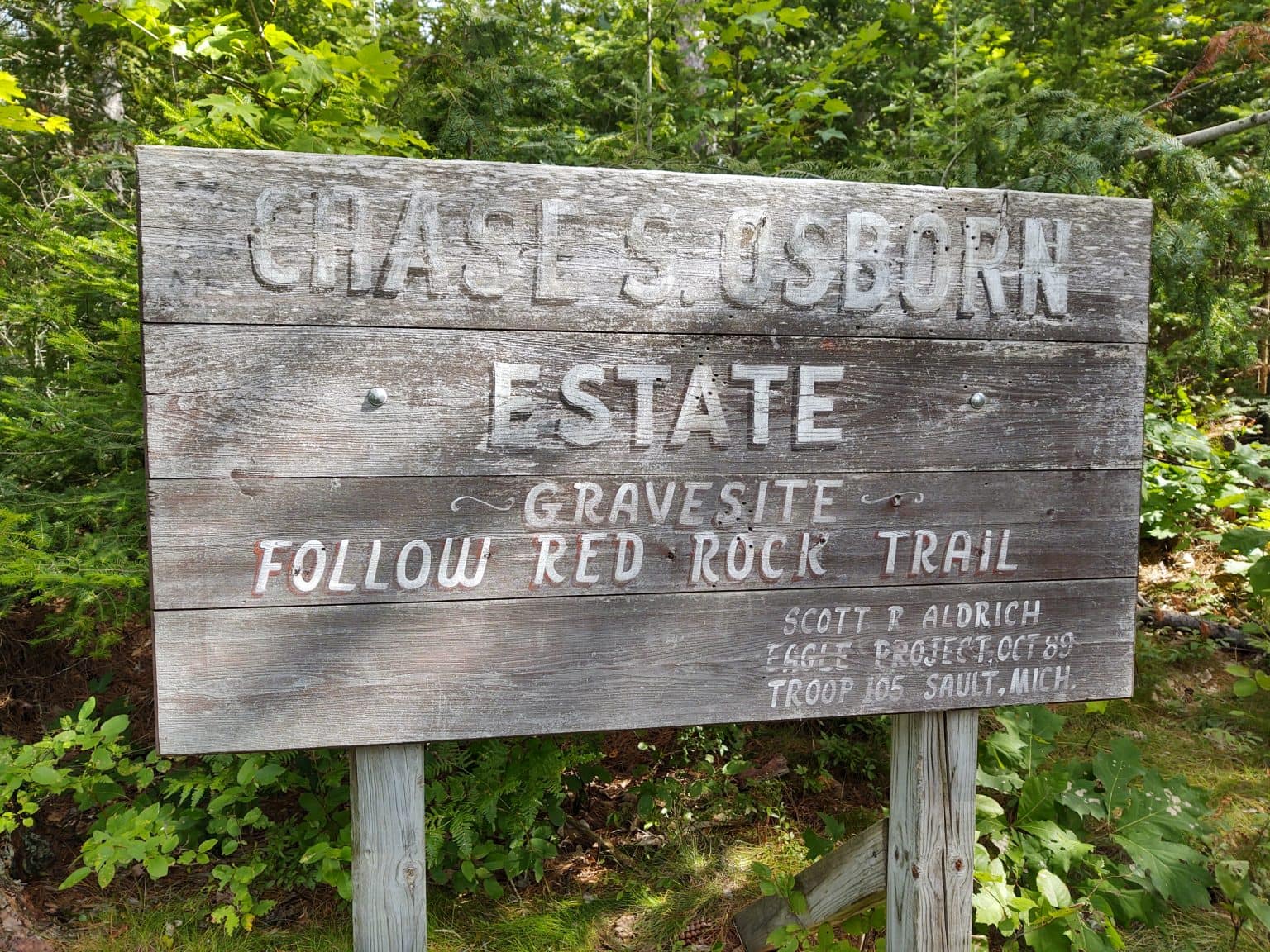 The Restless Viking: Chase Salmon Osborn - Lowell's First Look