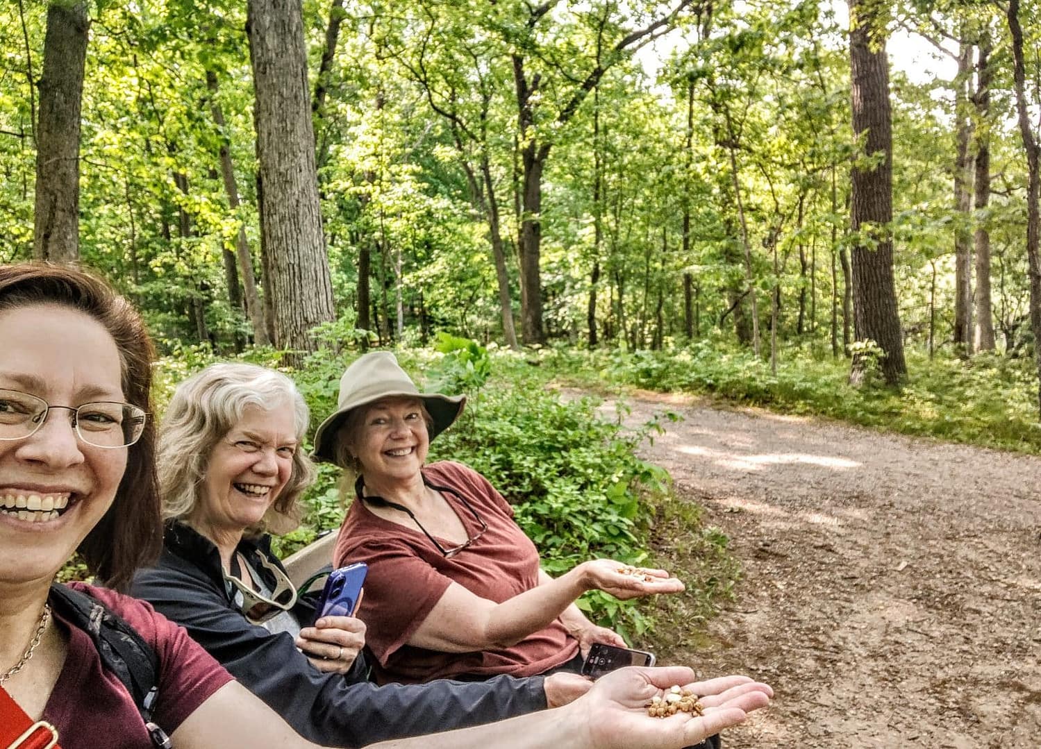 The Restless Viking: Feeding Song Birds at Kensington Metropark ...